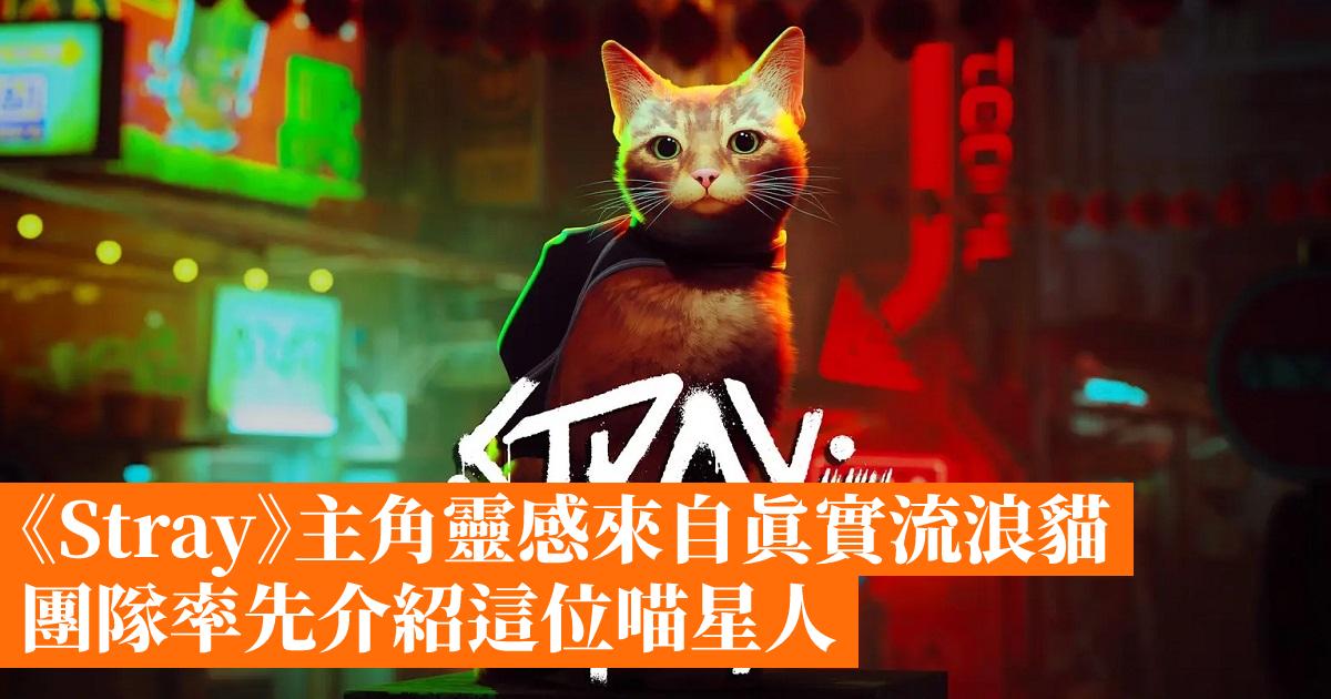 《Stray》主角靈感來自真實流浪貓 團隊率先介紹這位喵星人 - 香港手機遊戲網 GameApps.hk